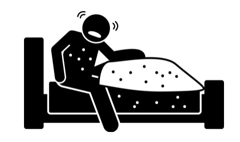 Bed Bugs: The Ultimate Guide | Sexton Pest Control