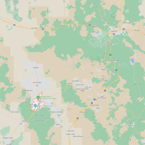 Arizona Pest & Termite Experts Since 1960 | Sexton Pest Control